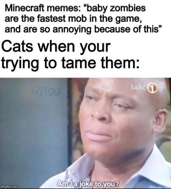 Kitty cat: “I am speed” | /r/MinecraftMemes | Minecraft | Know Your Meme