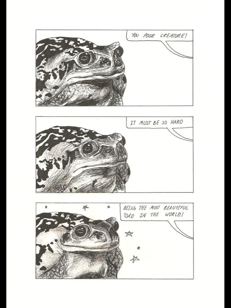 Toads are cute too | /r/wholesomememes | Wholesome Memes | Know Your Meme