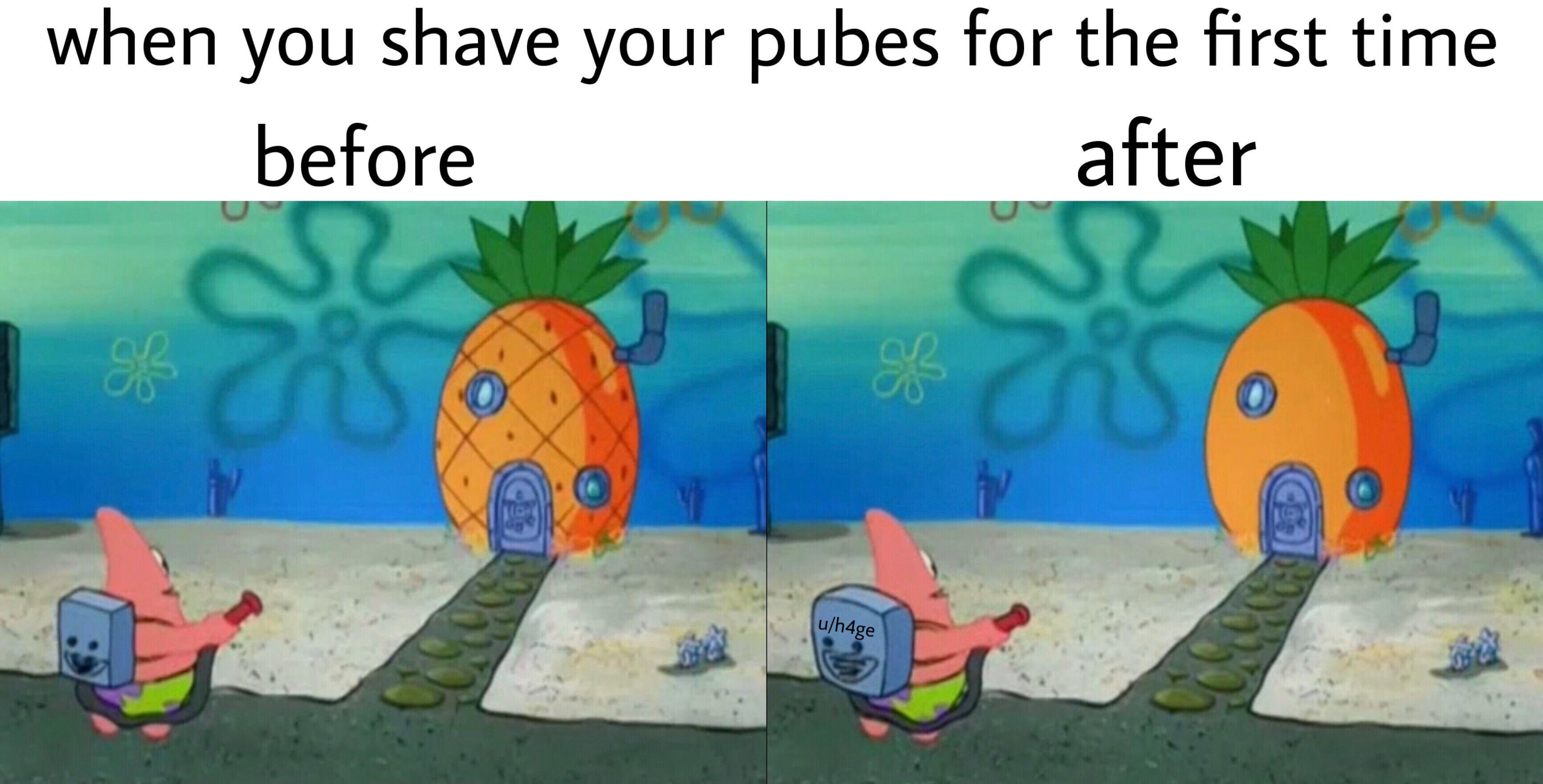 it’s like a newborn child | /r/BikiniBottomTwitter | SpongeBob ...