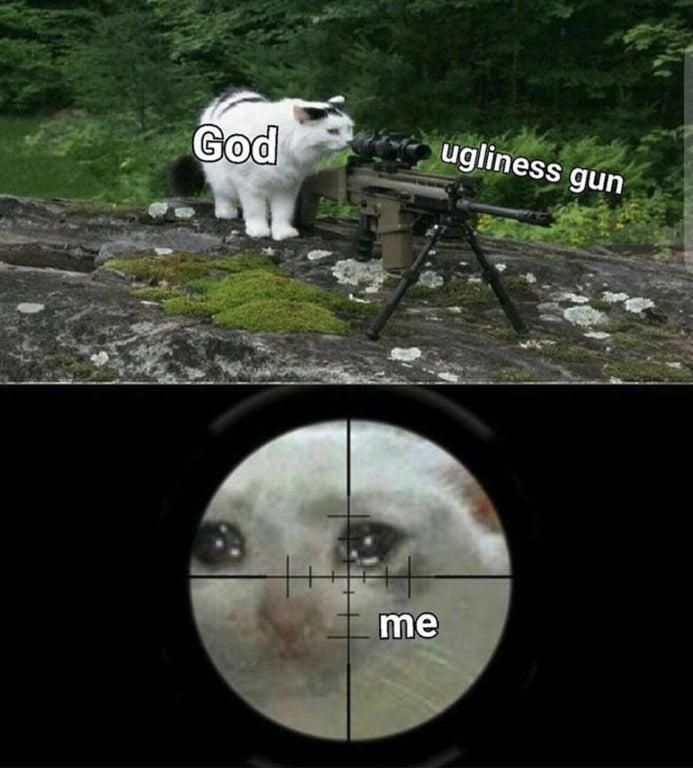 Ugliness gun | Cat Sniping Crying Cat | Know Your Meme