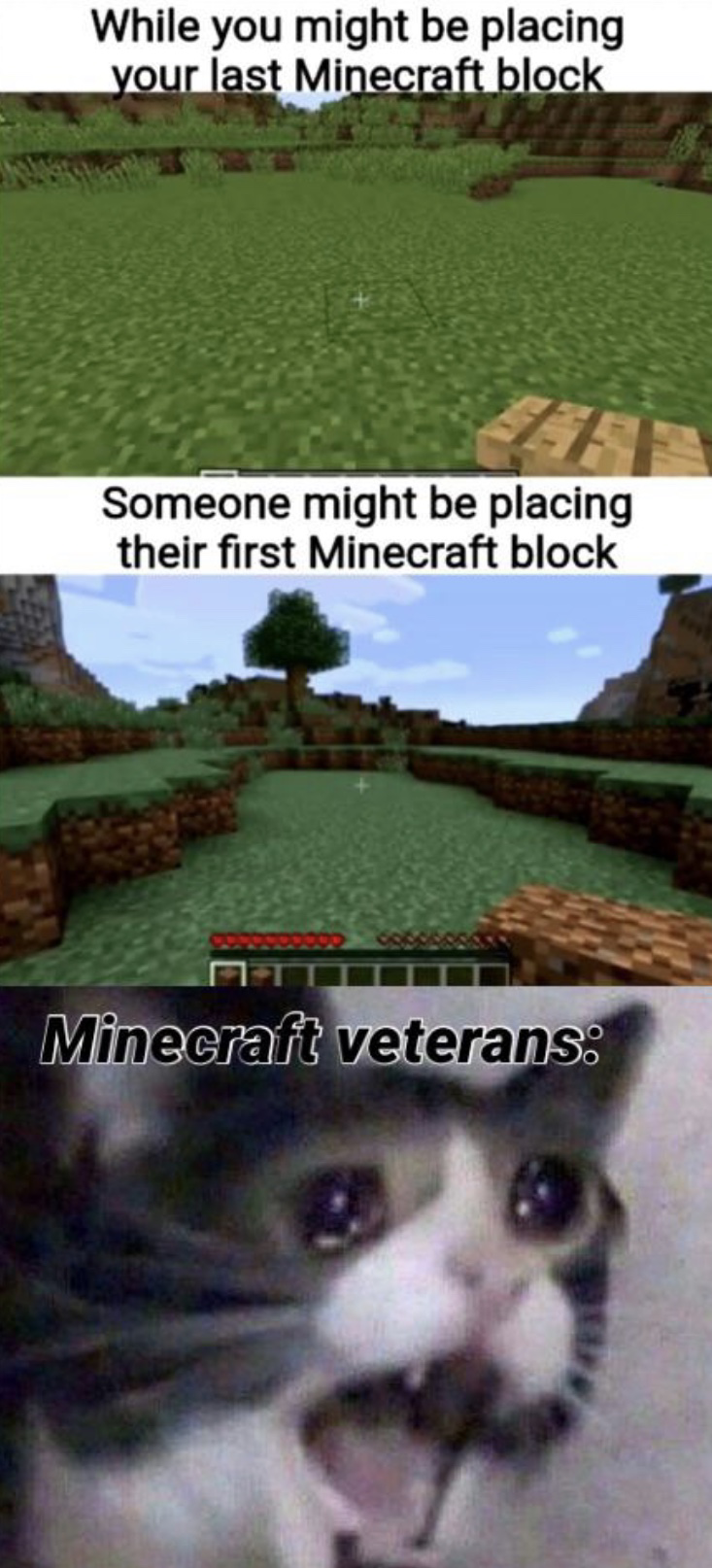 sad steve noises | /r/MinecraftMemes | Minecraft | Know Your Meme
