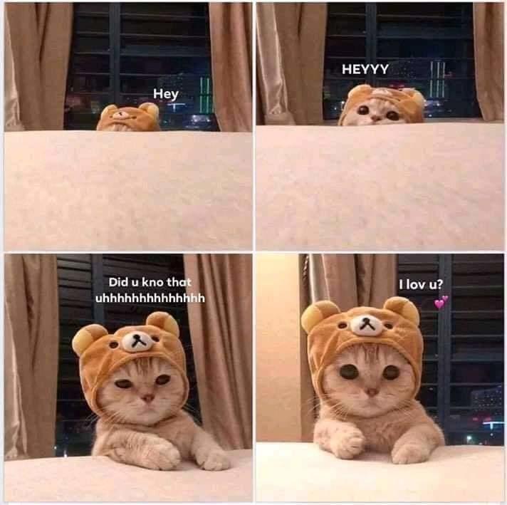 I lob you ️ | /r/wholesomememes | Wholesome Memes | Know Your Meme