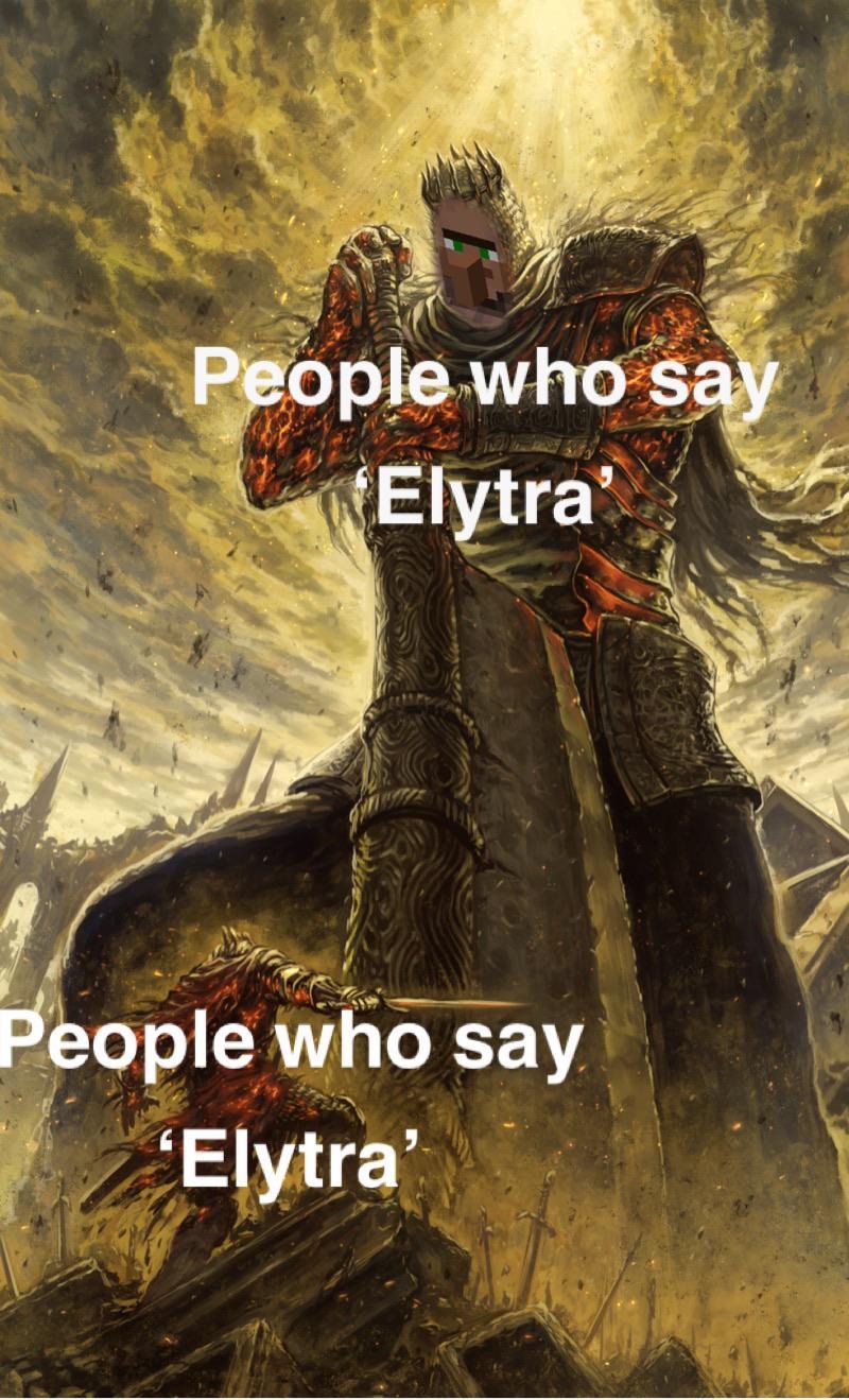 Elytra or Elyeetra?‍♂️ | /r/MinecraftMemes | Minecraft | Know Your Meme