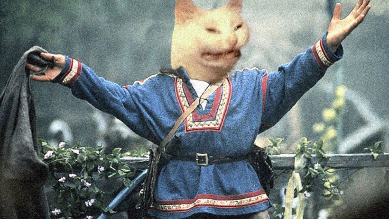 Willowkot | Kot | Know Your Meme