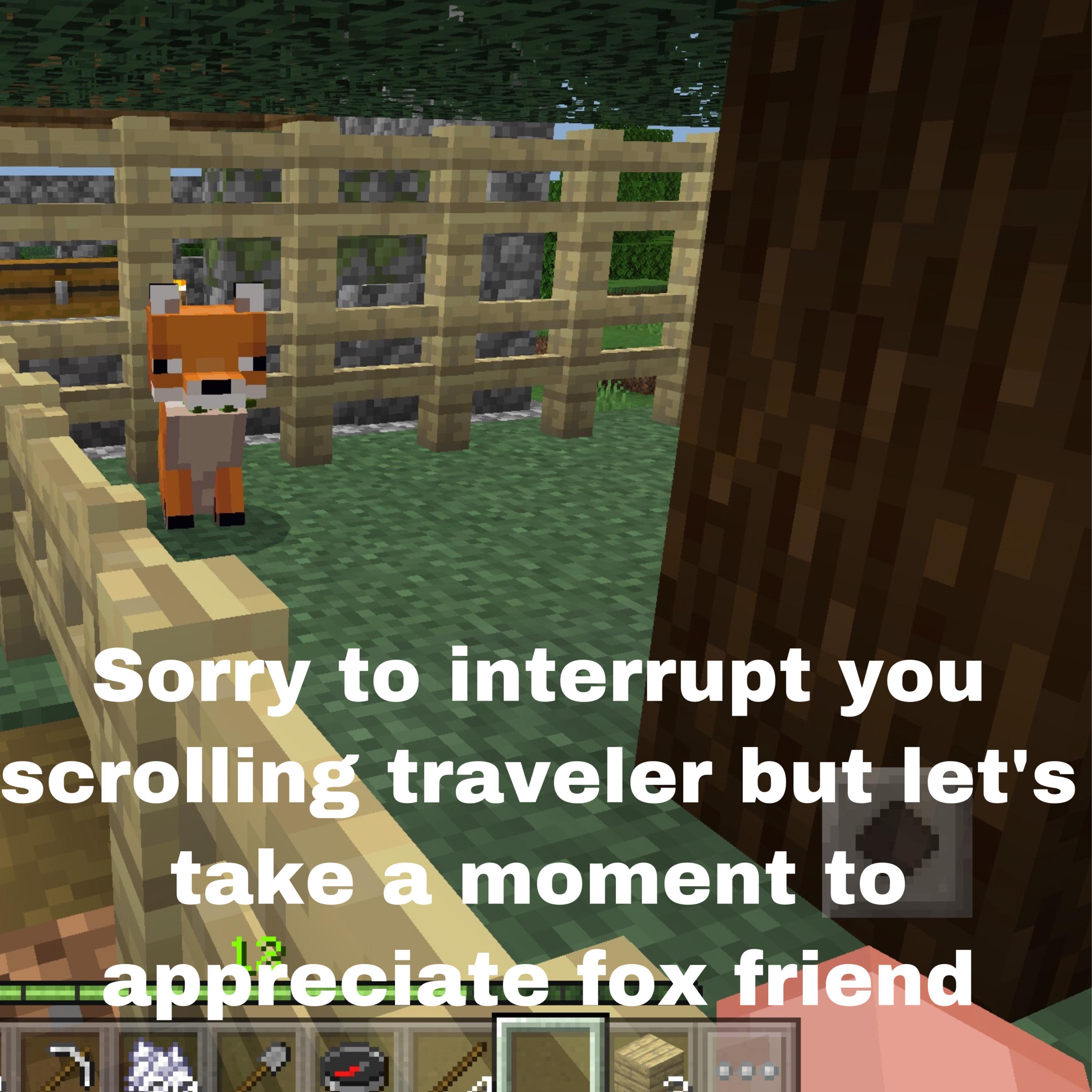 Wholesome Fox friend | /r/MinecraftMemes | Minecraft | Know Your Meme