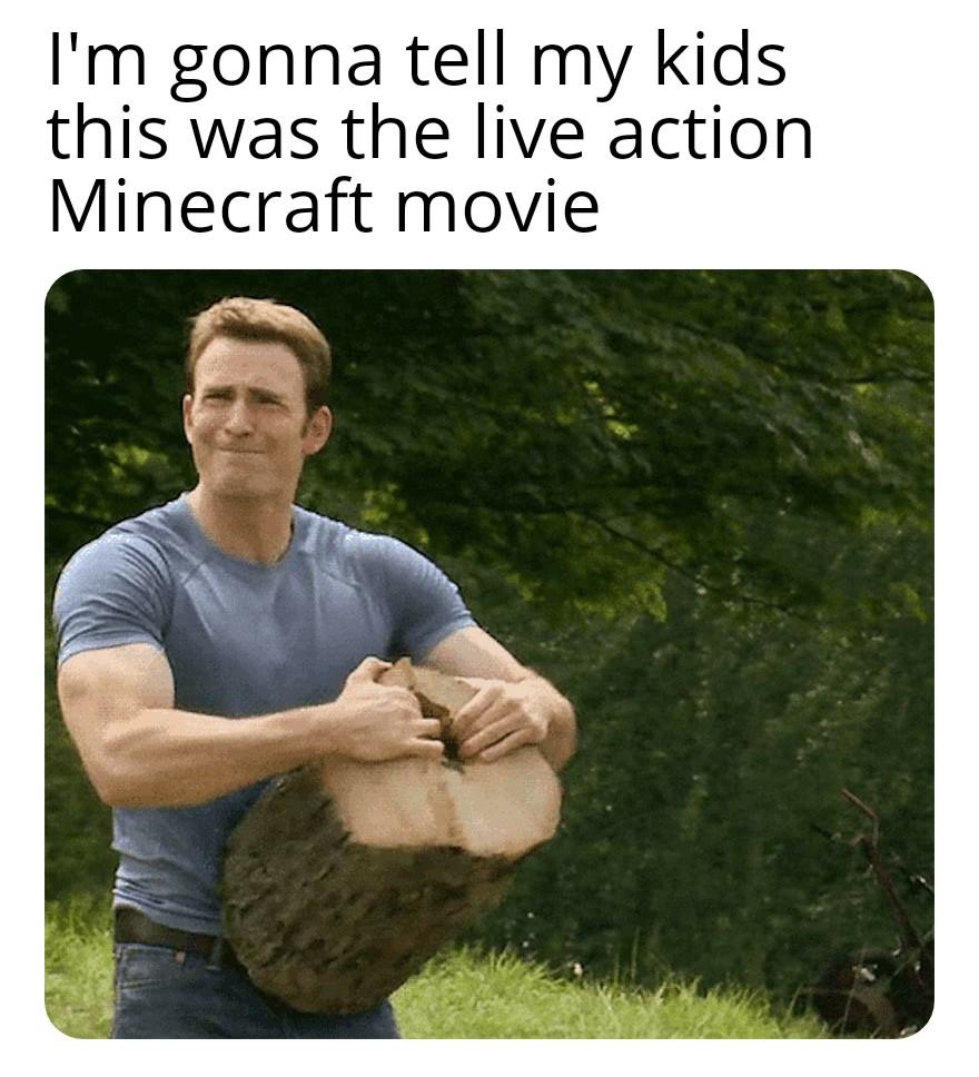 Steve breaks wood with his bare hands | /r/MinecraftMemes | Minecraft ...