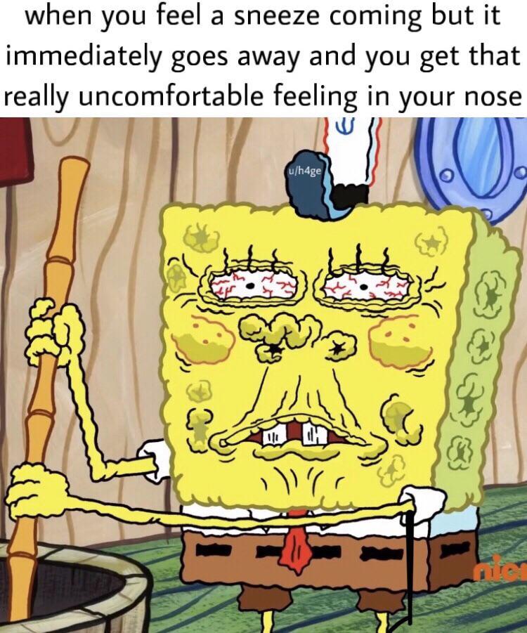 don’t know how to explain it any better | /r/BikiniBottomTwitter ...