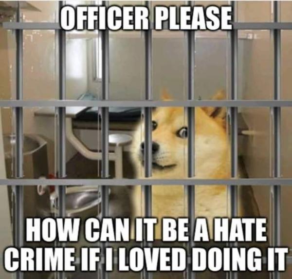 Love crime | Ironic Doge Memes | Know Your Meme