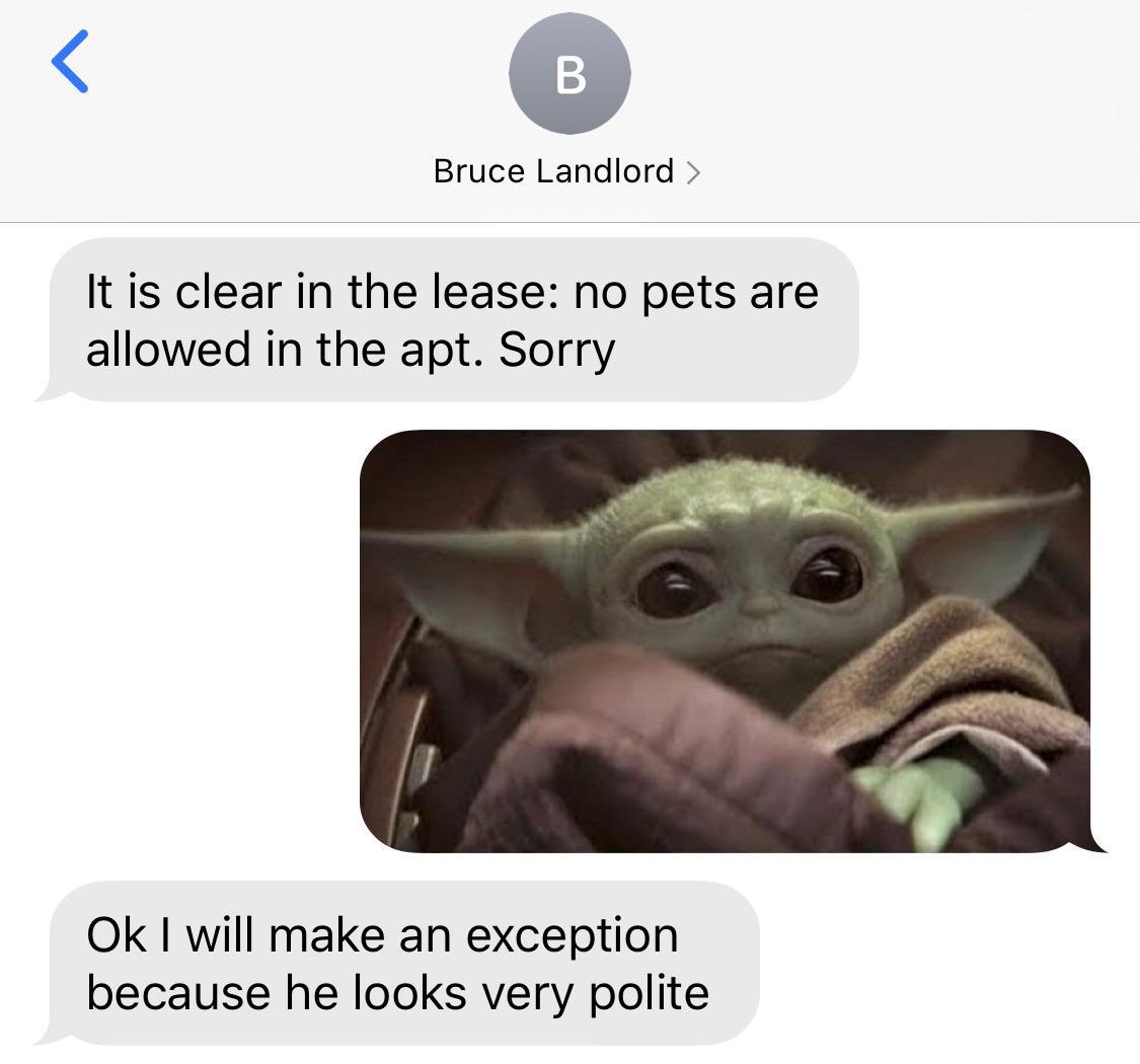 thank you bruce | /r/BabyYoda | Baby Yoda / Grogu | Know Your Meme