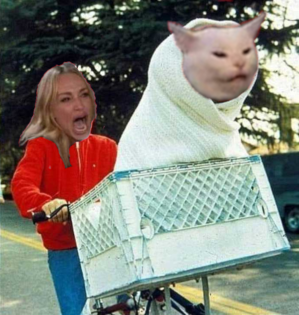 Woman Yelling at a Cat E.T. Movie Theme | Woman Yelling at a Cat | Know ...