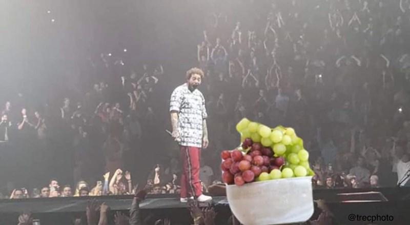 Who loves grapes? | I Love Grapes | Know Your Meme