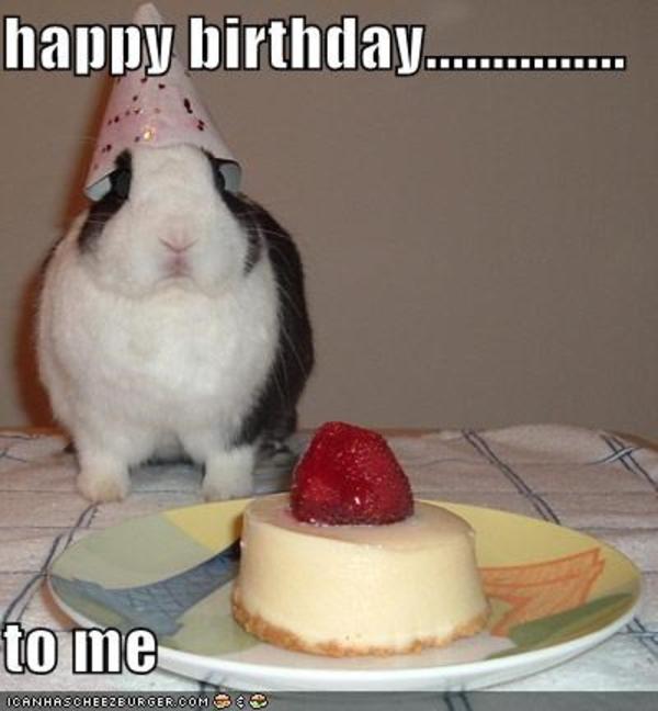 happy birthday............... to me | Rabbits | Know Your Meme
