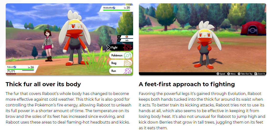 Raboot | Pokémon Sword and Shield | Know Your Meme