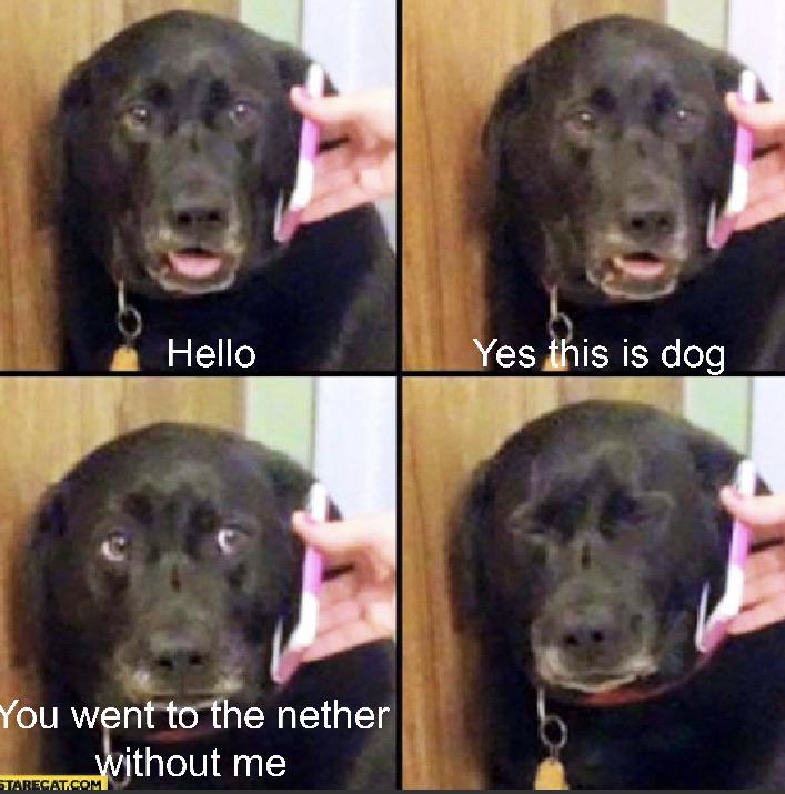 Sad doggo | /r/MinecraftMemes | Minecraft | Know Your Meme