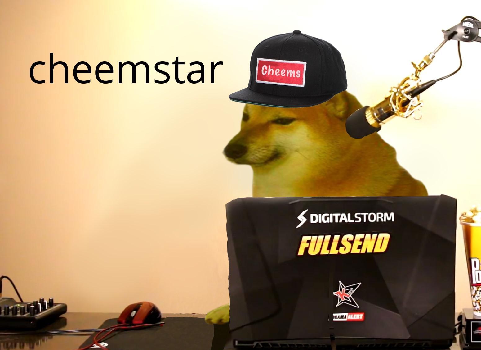 what is up dmara alemrt natiom im your homst killer cheemstar | Cheems ...