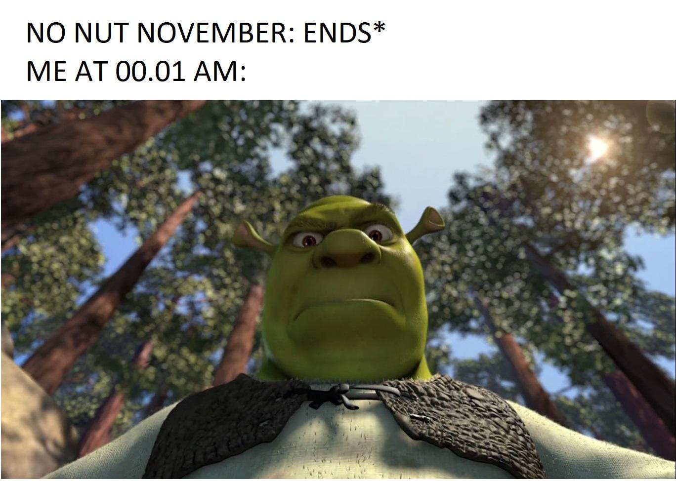 Invest Shrek's dick !!! | /r/MemeEconomy | Know Your Meme