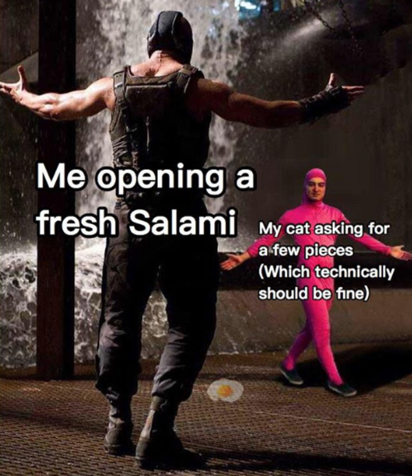 me opening a fresh salami | Bane vs. Pink Guy | Know Your Meme