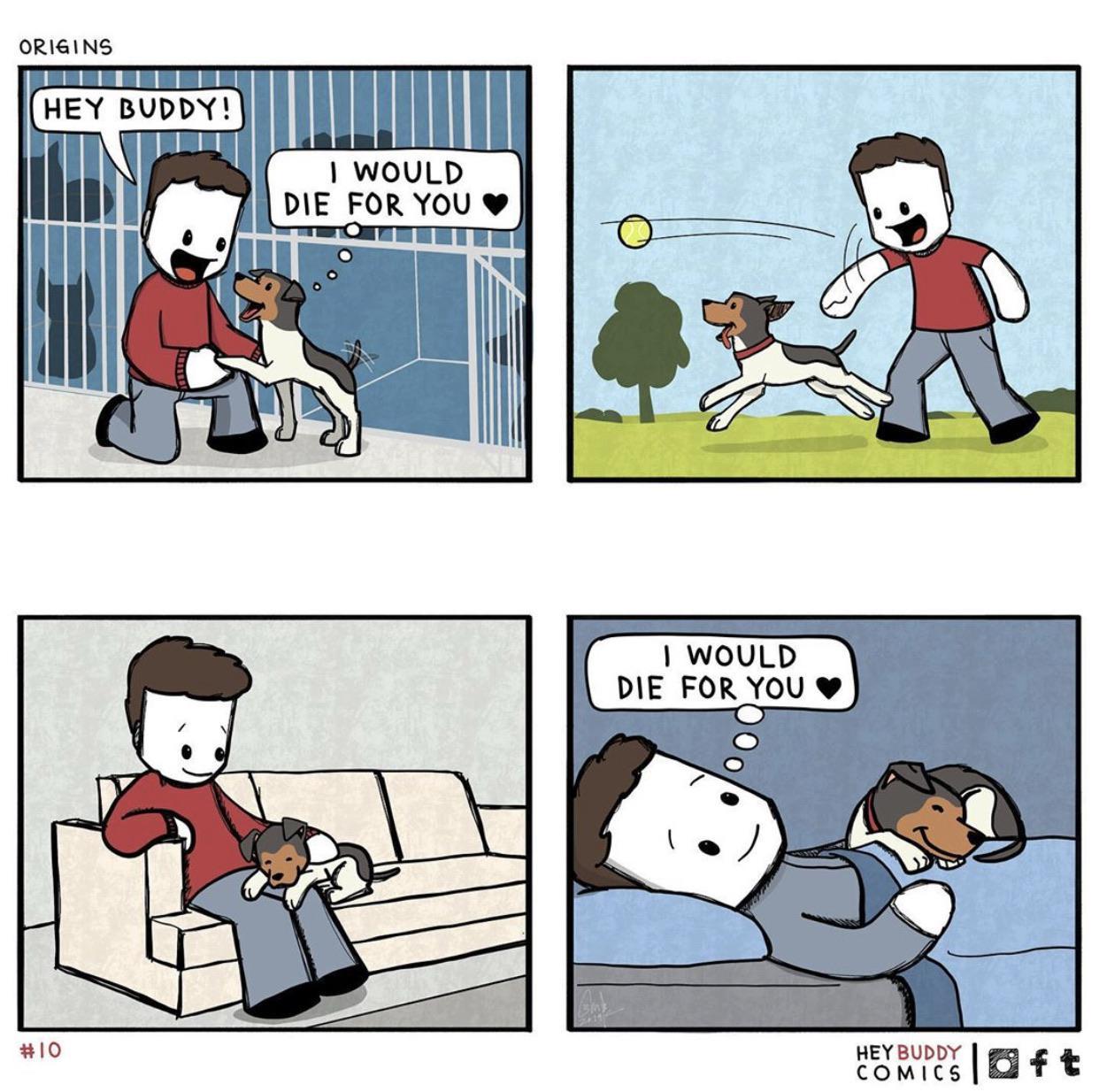 r/aww doesn’t like comics. Hope you guys enjoy this as much as I did ...