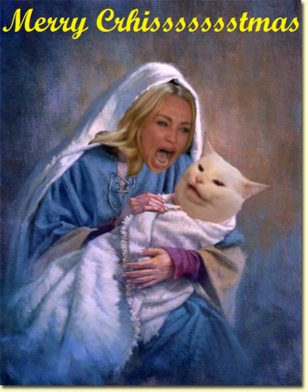 Woman Yelling At A Cat Merry Crhissssssstmas Woman Yelling At A Cat