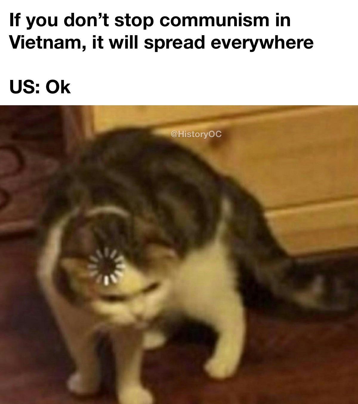 Brilliant thinking | Loading Cat | Know Your Meme