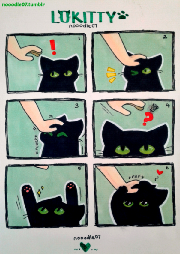 Lokitty | Cat Pap | Know Your Meme