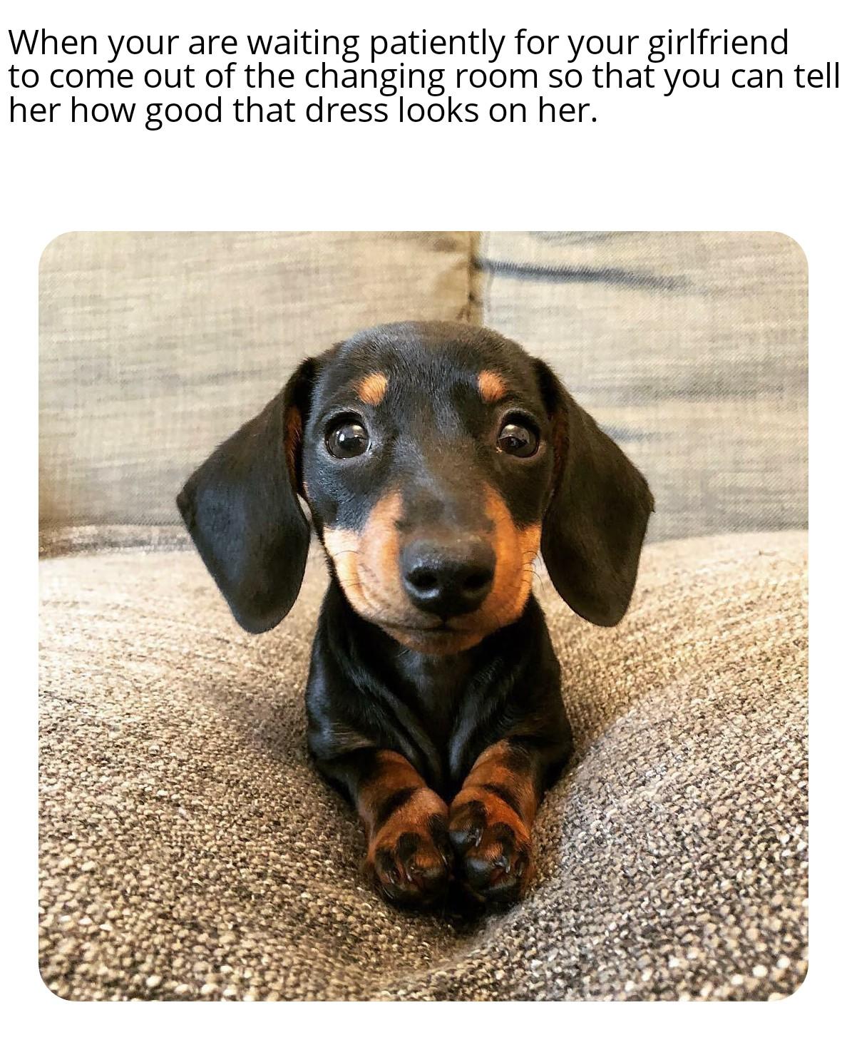 How you landed her you even don't know | /r/wholesomememes | Wholesome ...