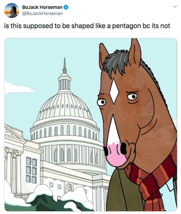 Hope you're enjoying D.C., BoJack! | BoJack Horseman | Know Your Meme