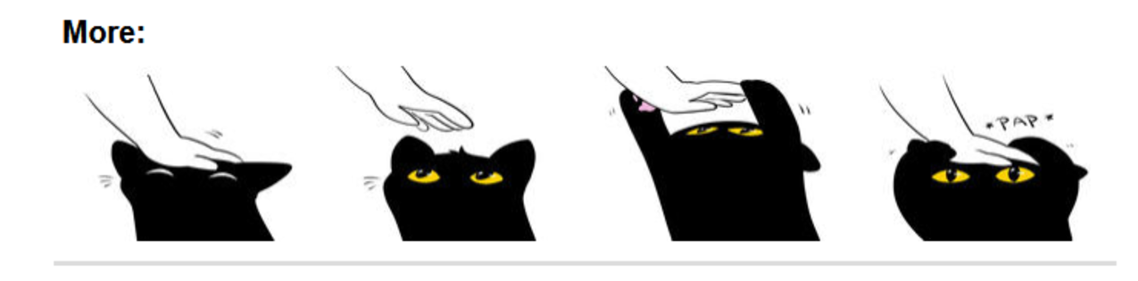 More | Cat Pap | Know Your Meme