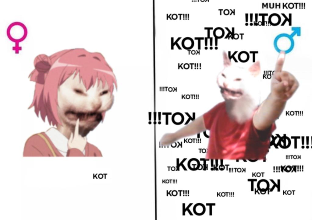 Hello this is KOT | Kot | Know Your Meme