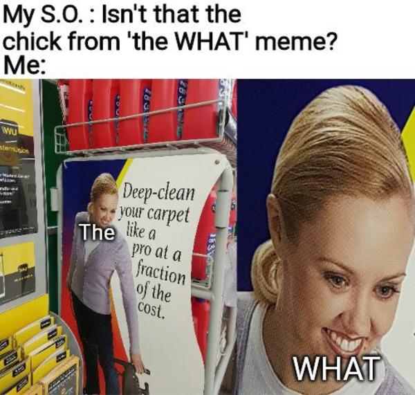 We...we found it | /r/memes | The What / Rug Doctor Woman Ad | Know ...