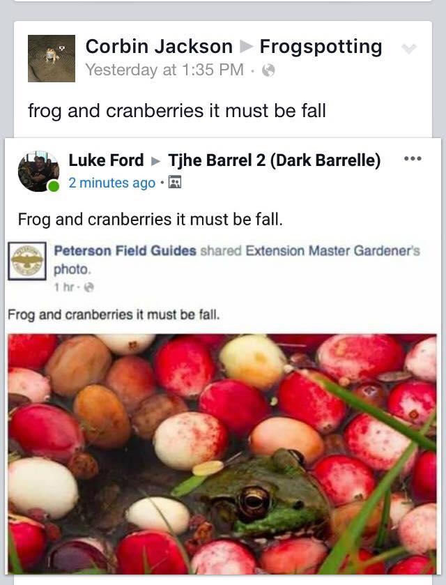 frog and cranberries | Frog and Cranberries It Must Be Fall | Know Your ...