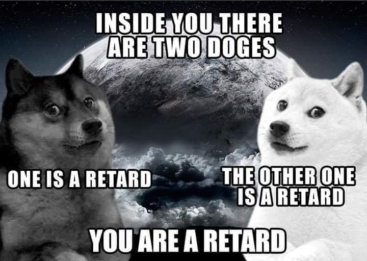 Two Doges | Ironic Doge Memes | Know Your Meme