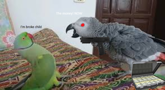 Rare image of Birb life | Birbs | Know Your Meme