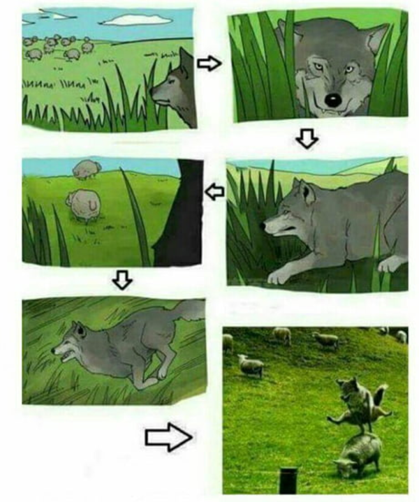 Leaping Lizards | /r/wholesomememes | Wholesome Memes | Know Your Meme