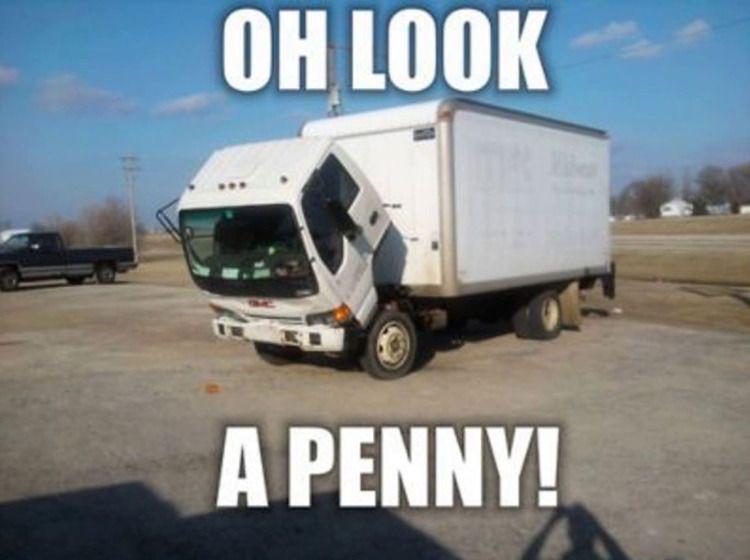 Oh look, a Penny! | /r/wholesomememes | Wholesome Memes | Know Your Meme