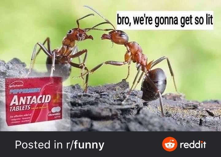 Hahahaha 420 blaze it! | /r/ComedyCemetery | Comedy Cemetery | Know ...