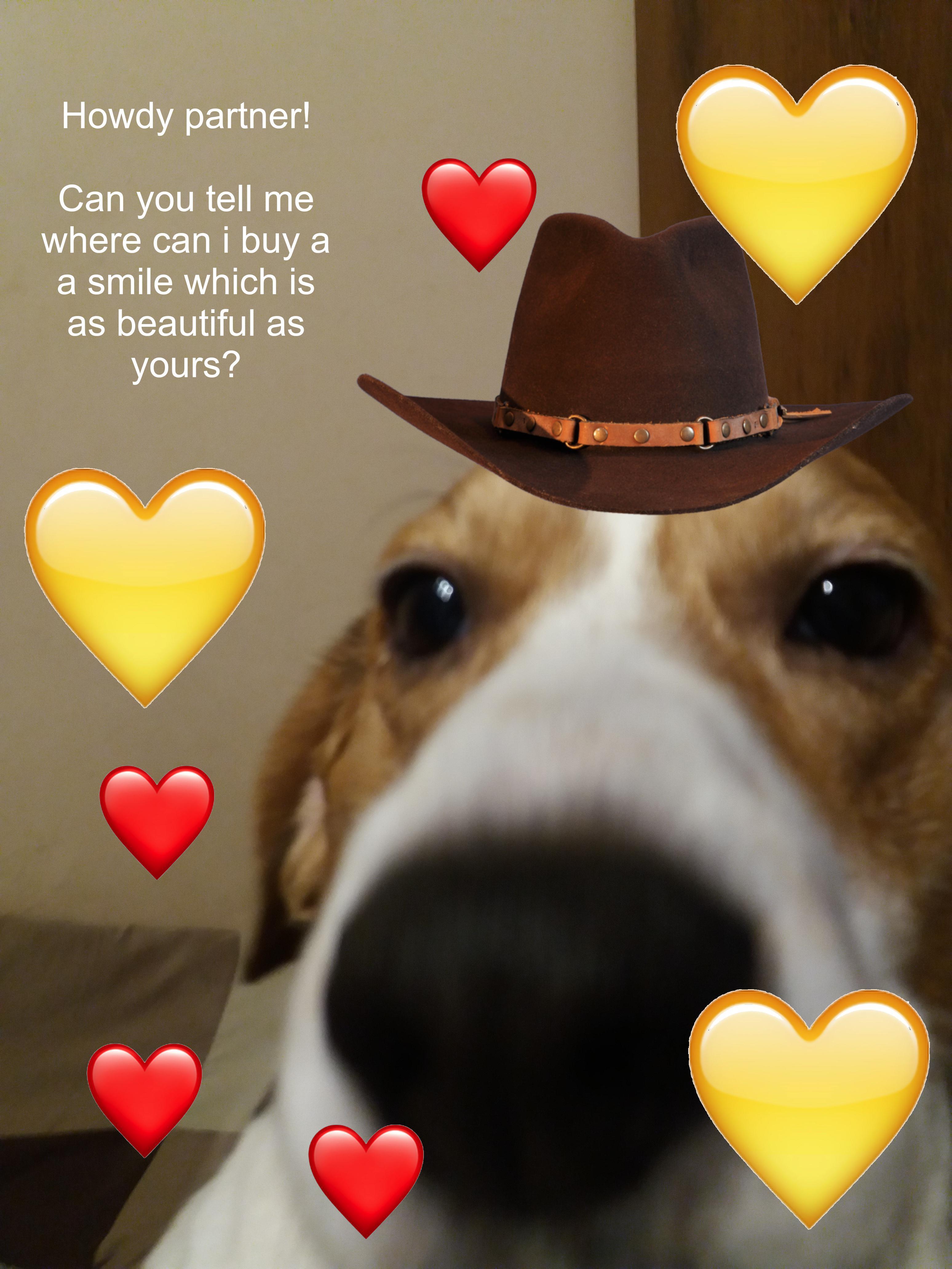 Howdy Beautiful Person r wholesomememes Wholesome Memes Know 
