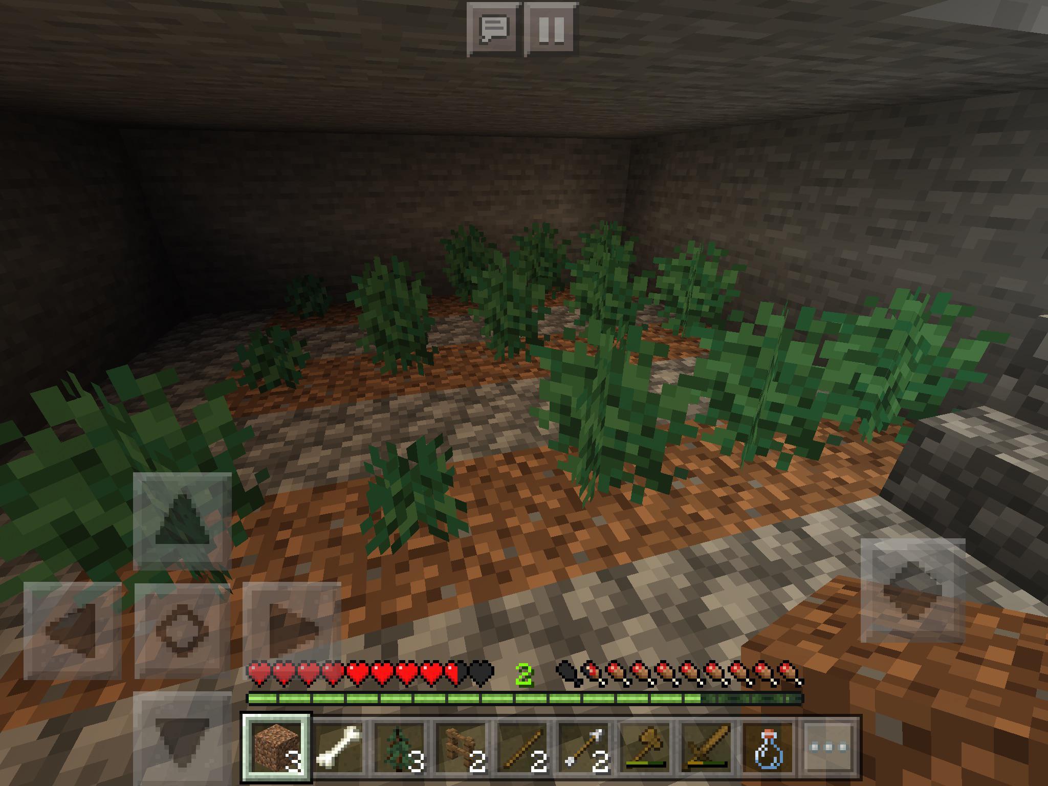 Me ‘n the girls in the basement growing marijuana | /r/MinecraftMemes ...