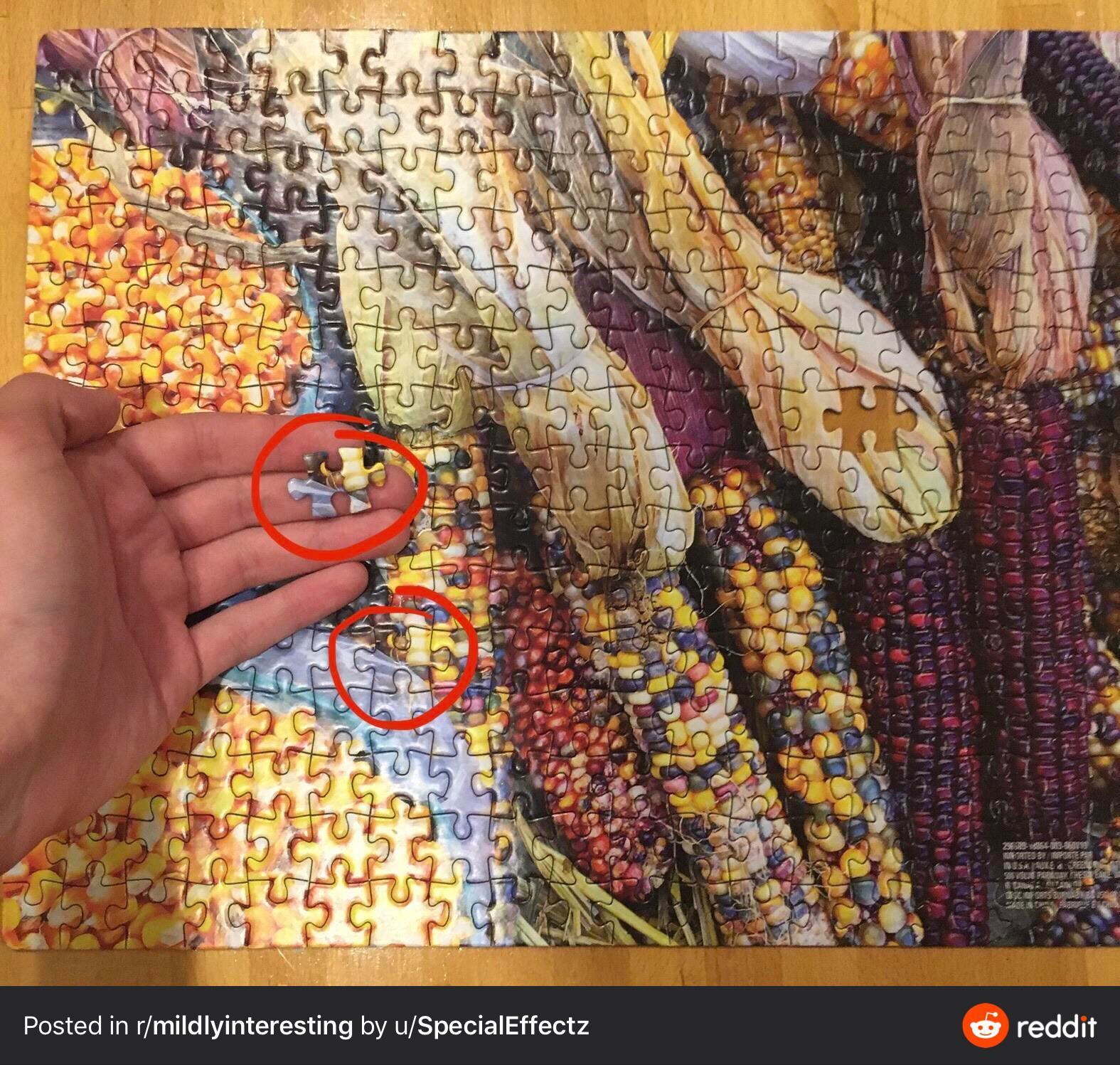 This puzzle is missing a piece and has a duplicate | /r ...