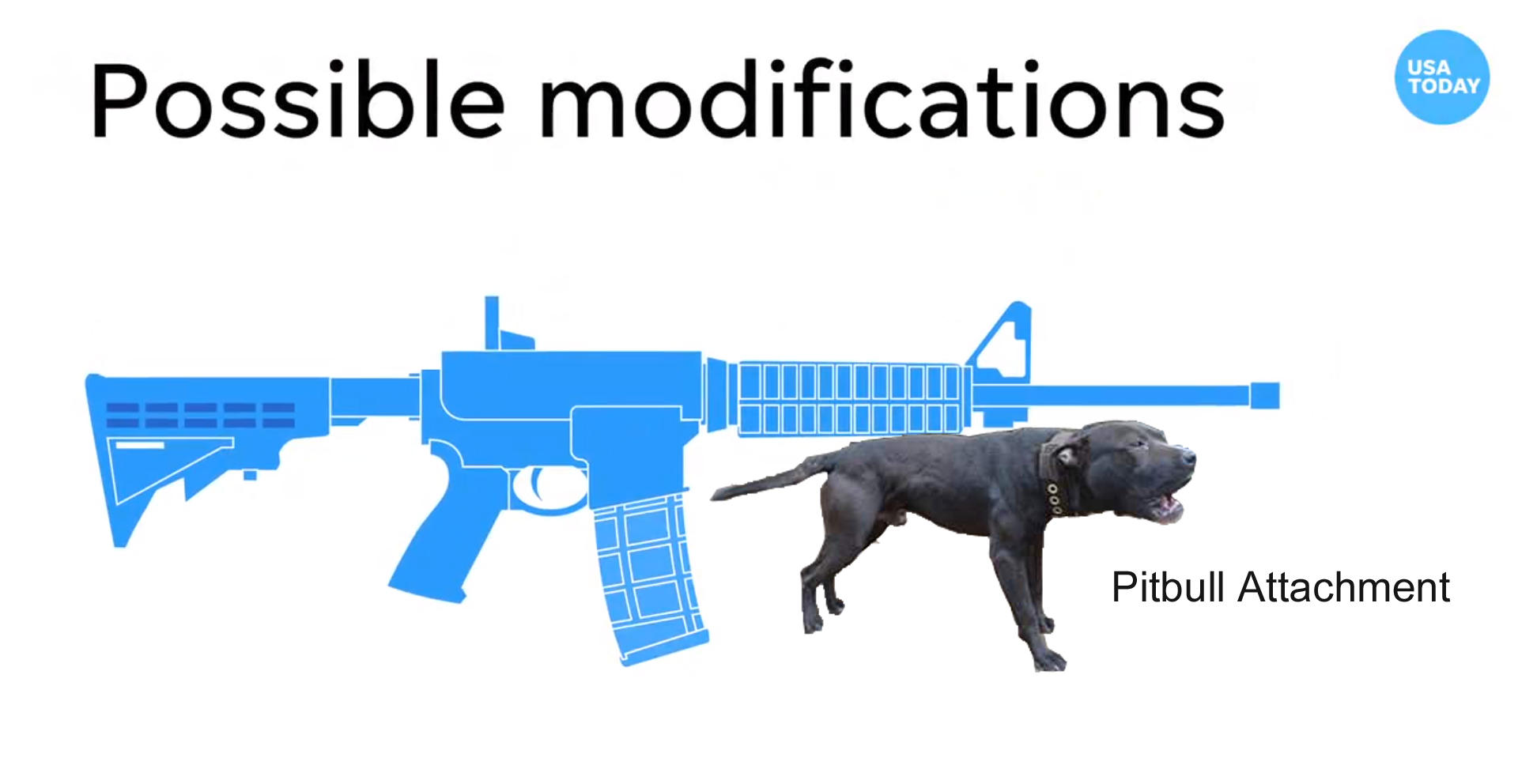 Pitbull M16 Possible Modification | Possible Modifications | Know Your Meme