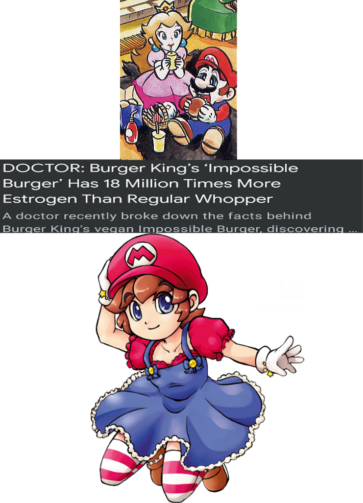 Mario eats a cheems | Impossible Whopper Estrogen | Know Your Meme