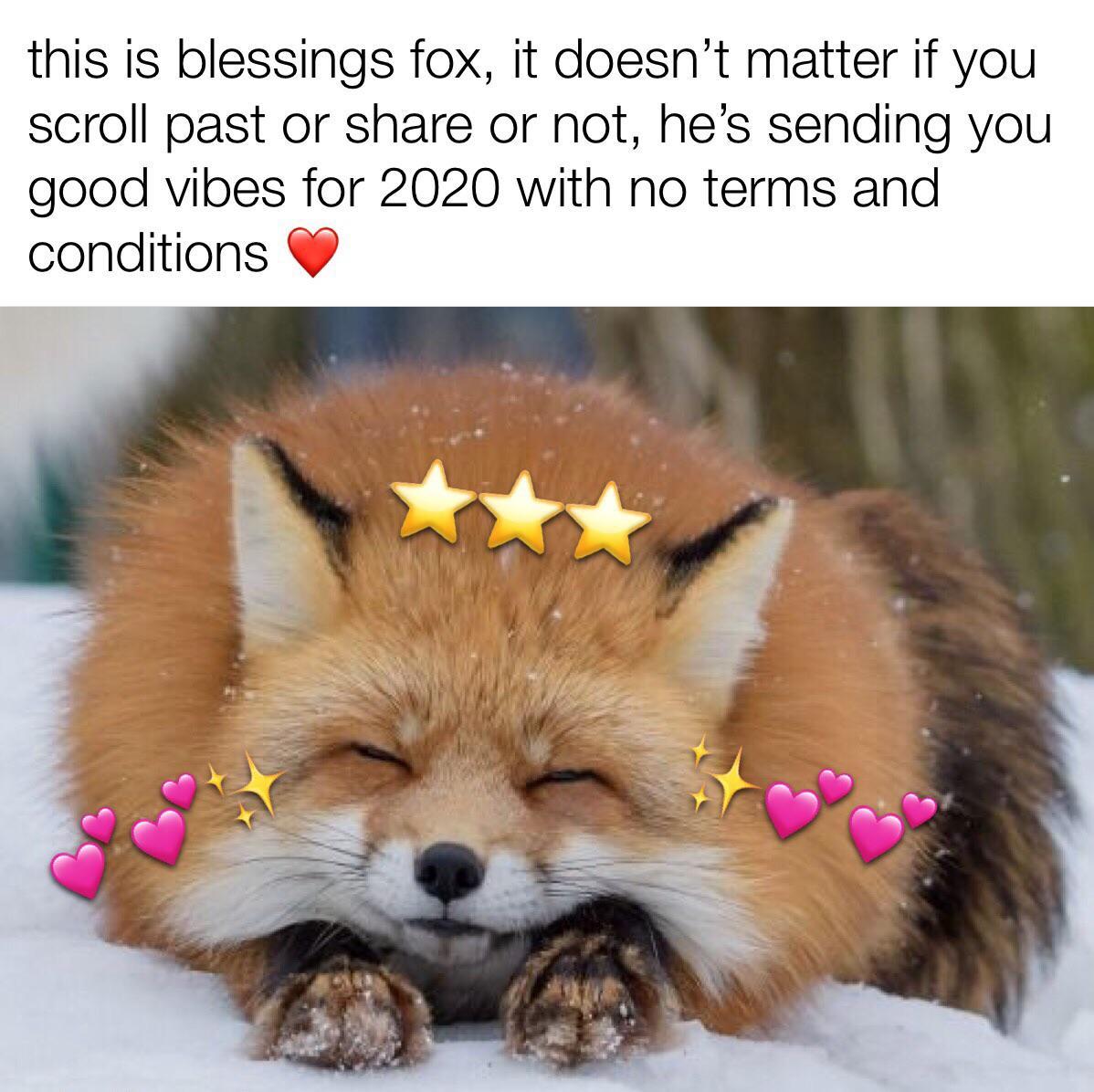 bringing you good vibes with no strings attached | /r/wholesomememes ...