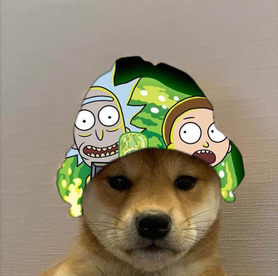 Rick and Morty Dogwifhat | Dogwifhat | Know Your Meme