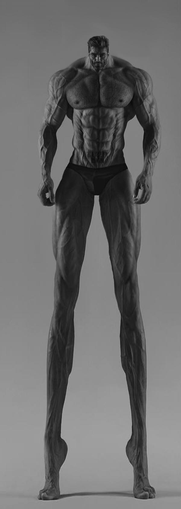 Challonge - بطولة فئات - فردي ومزدوج إقصائية، جولة روبن، السويسري ...