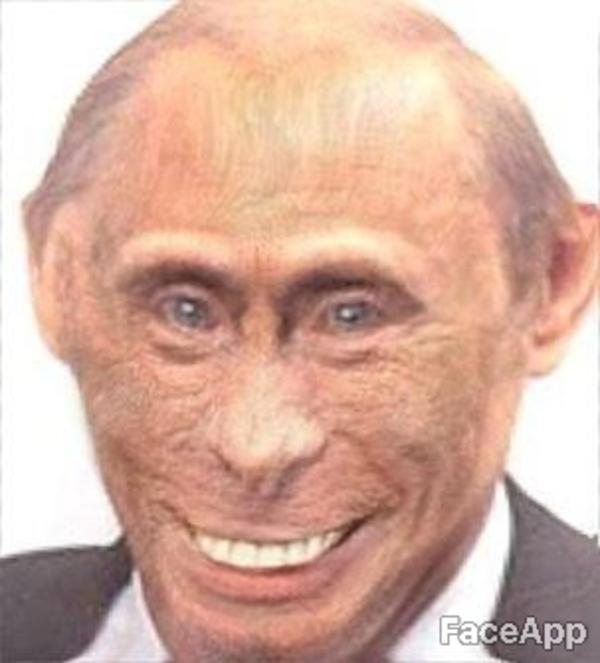 Smiling Monkey | Monkey Putin | Know Your Meme
