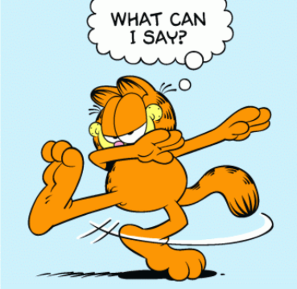 What Can I Say Garfield Know Your Meme
