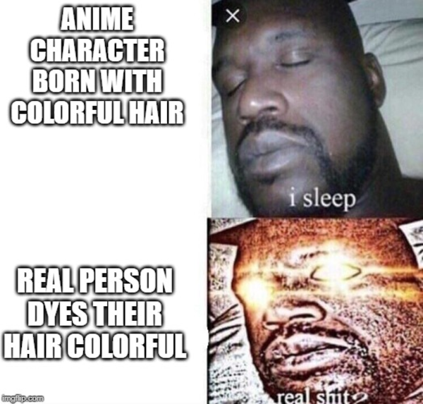 Animus | Sleeping Shaq | Know Your Meme