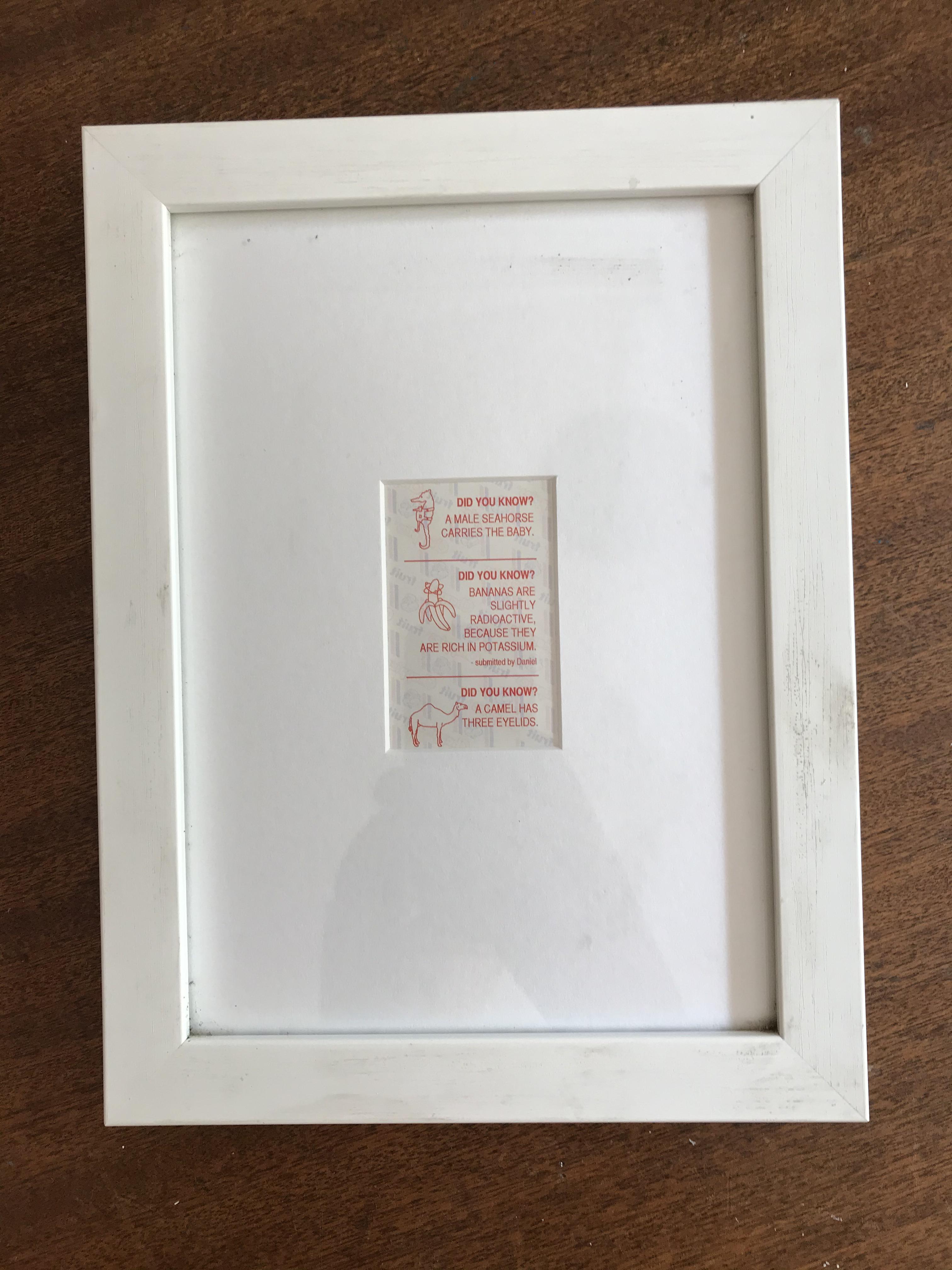 My Framed Chappie Wrapper That I Was Sent After Winning A Competition