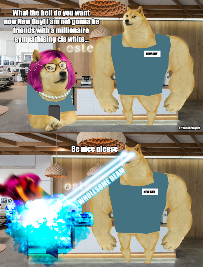 New Doge | New Guy | Know Your Meme