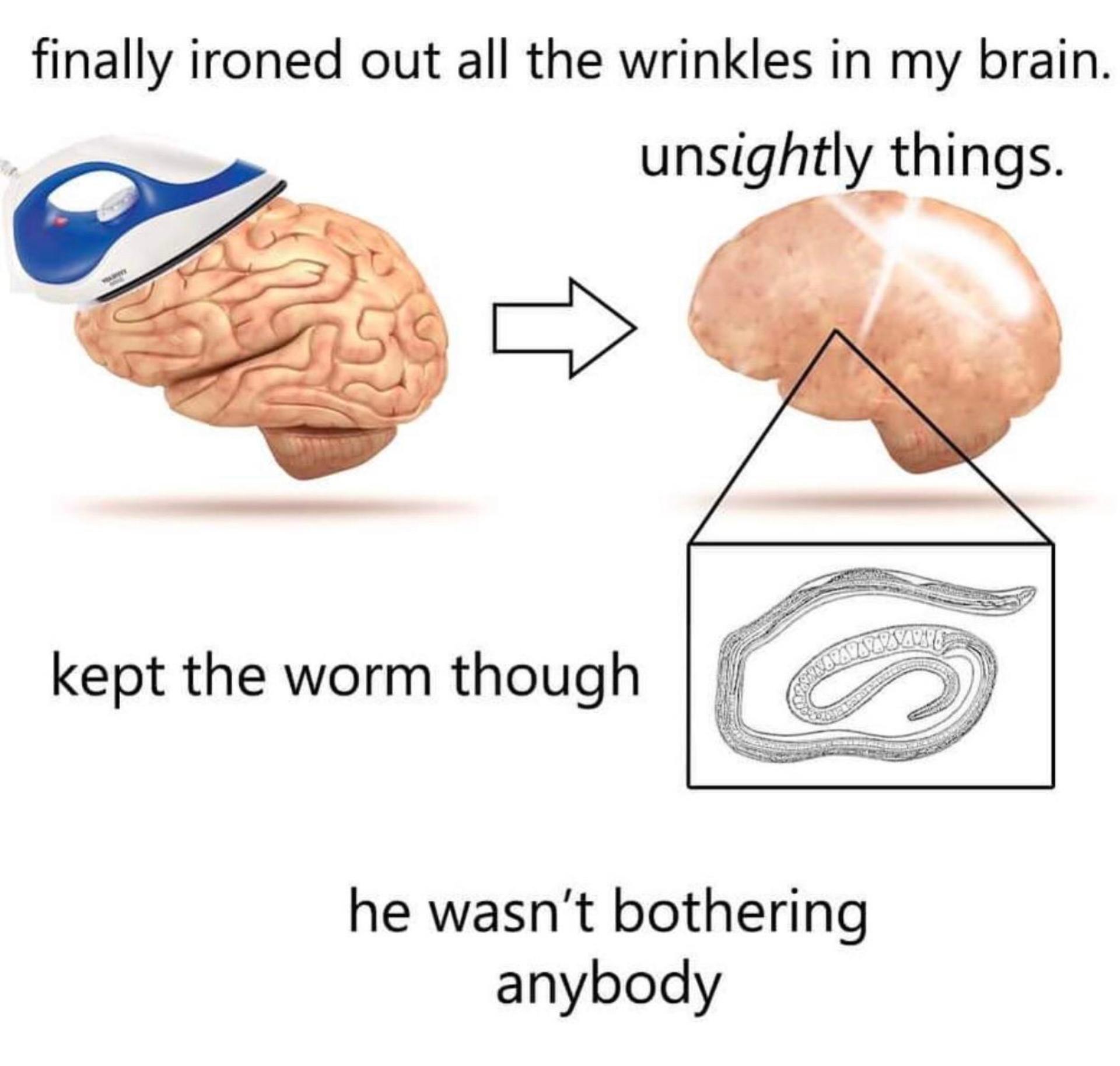 Worm good | Surreal Memes | Know Your Meme